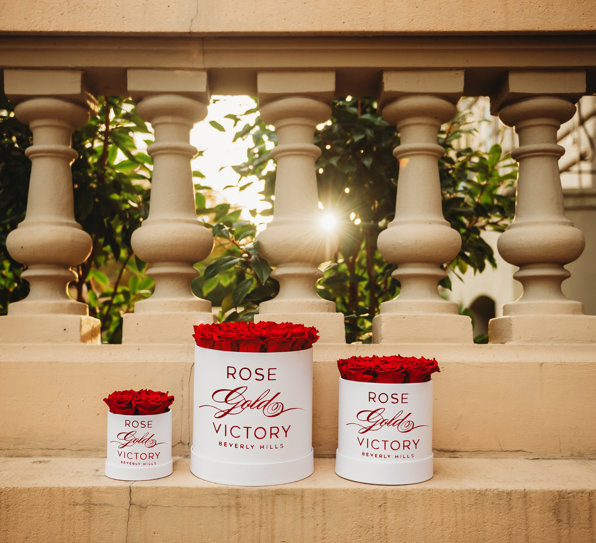 Forever Roses In Round Box– Rose Gold Victory