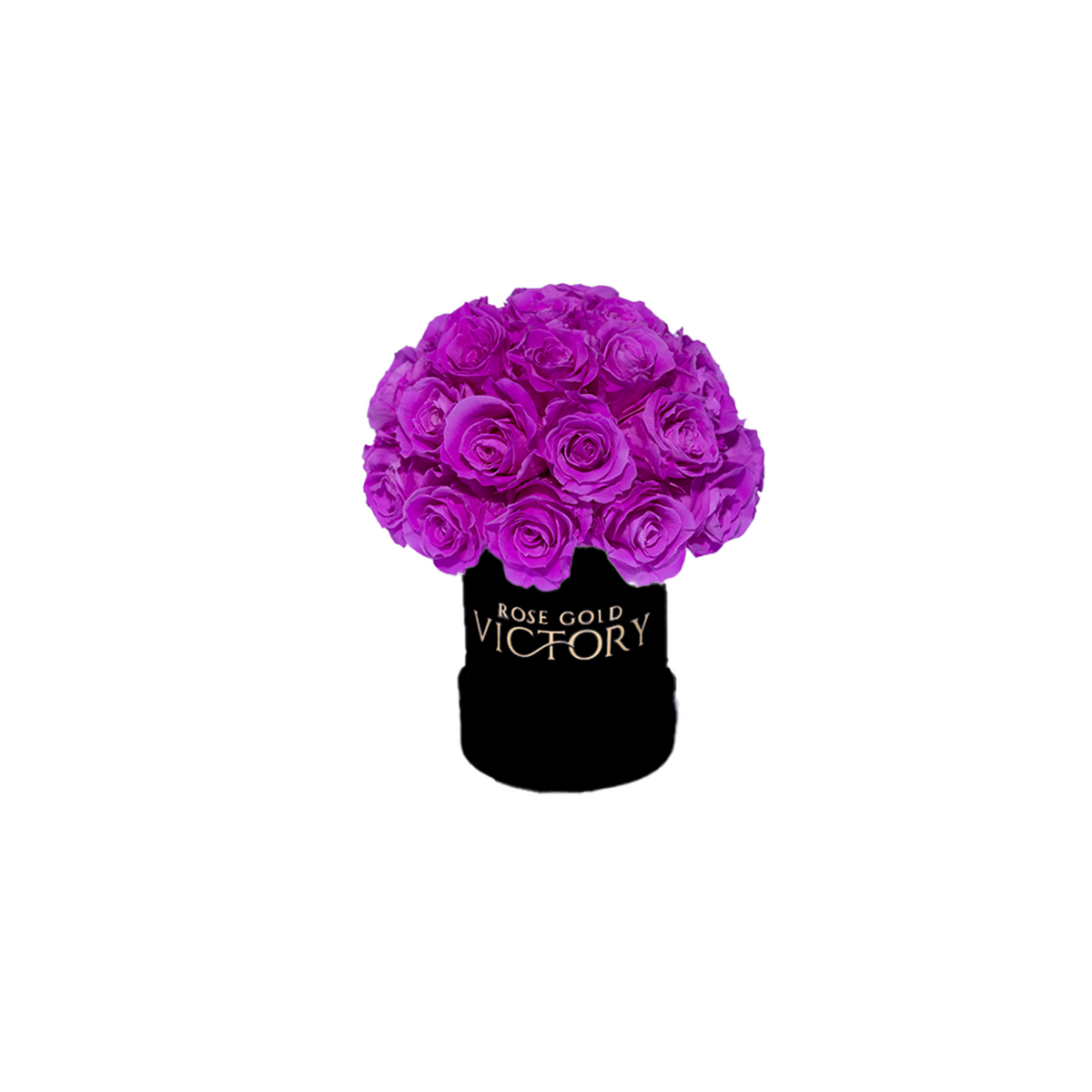 Violet- Mini Bouquet of Rose in White Box– Rose Gold Victory