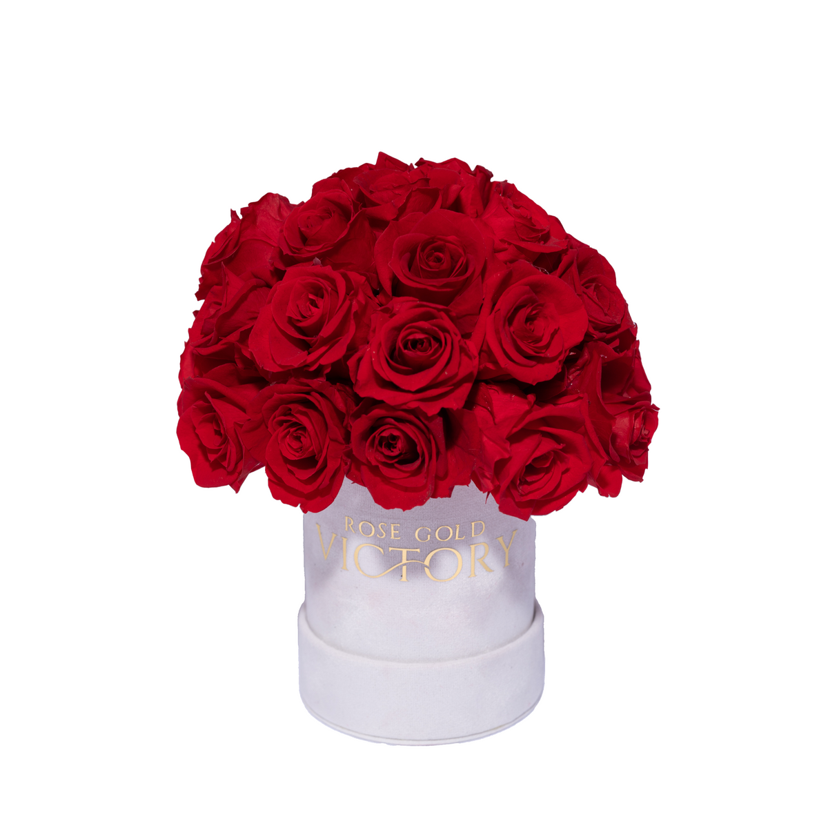 Red - Mini Bouquet of Rose in White Box– Rose Gold Victory